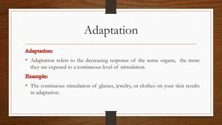 Sensation:Perception:Transduction:Adoptation And List of Psychological ...