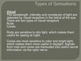 Sensation.pptx