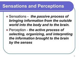 sensation.pptx