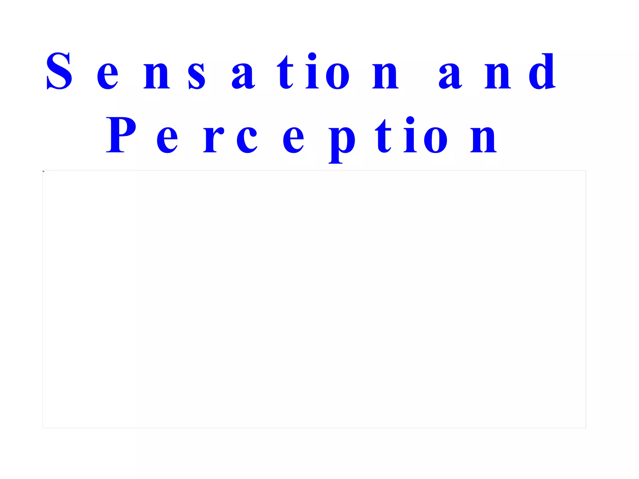 Sensation and Perception | PPT