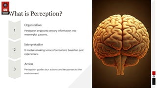 Sensation-and-Perception-Understanding-our-Senses.pptx