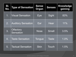 Sensation and Perception | PPSX
