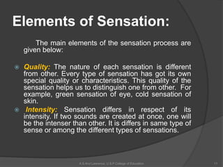 Sensation and Perception | PPSX