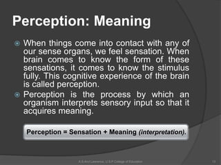 Sensation and Perception | PPSX