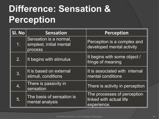 Sensation And Perception