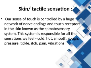 sensation presentation includes characters and types of it.pptx