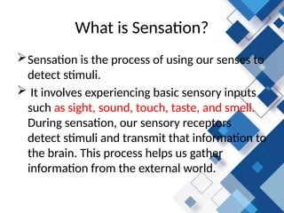 sensation presentation includes characters and types of it.pptx