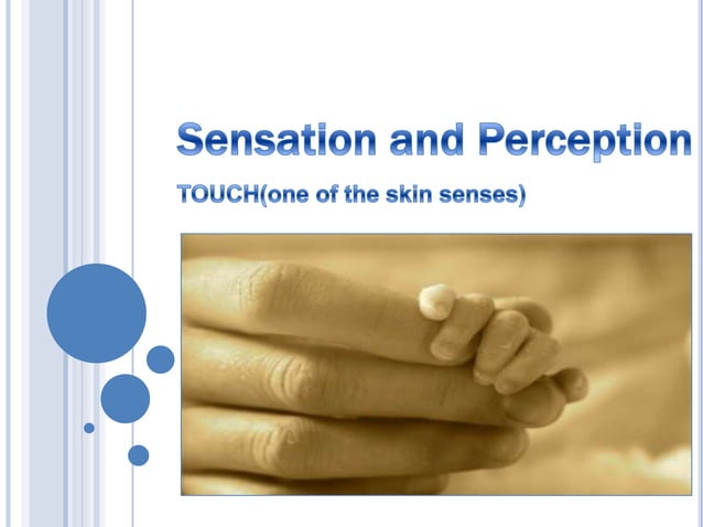 Sensation and perception | PPT