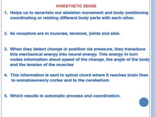 Sensation and perception | PPTX
