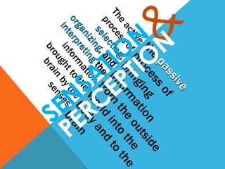 Sensation and perception | PPT