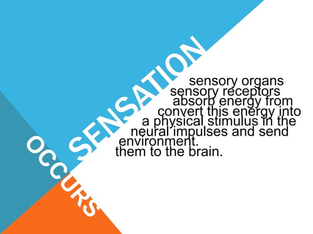 Sensation and perception | PPT