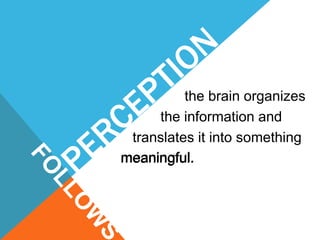 Sensation and perception | PPT