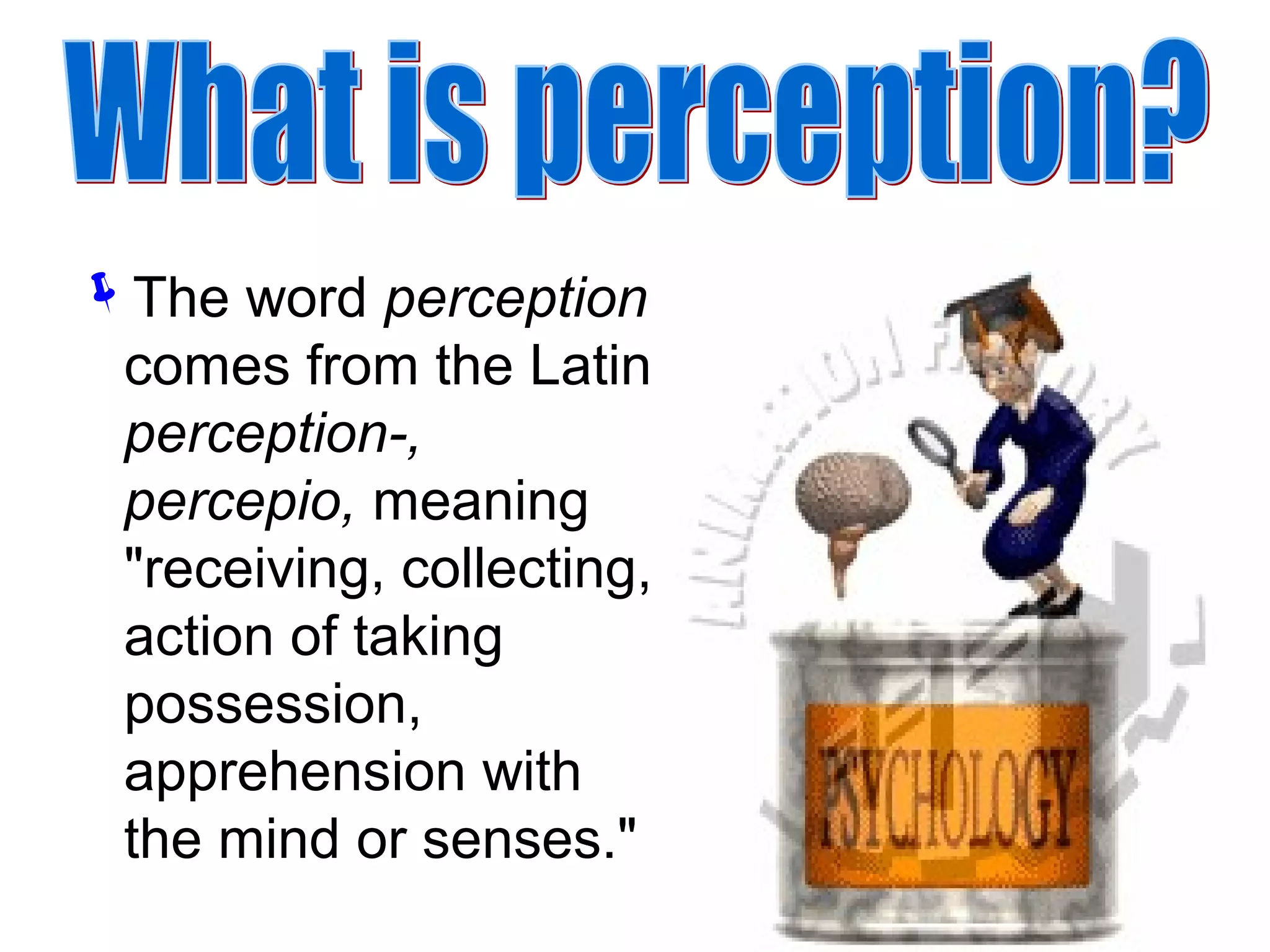 Sensation and perception | PPT