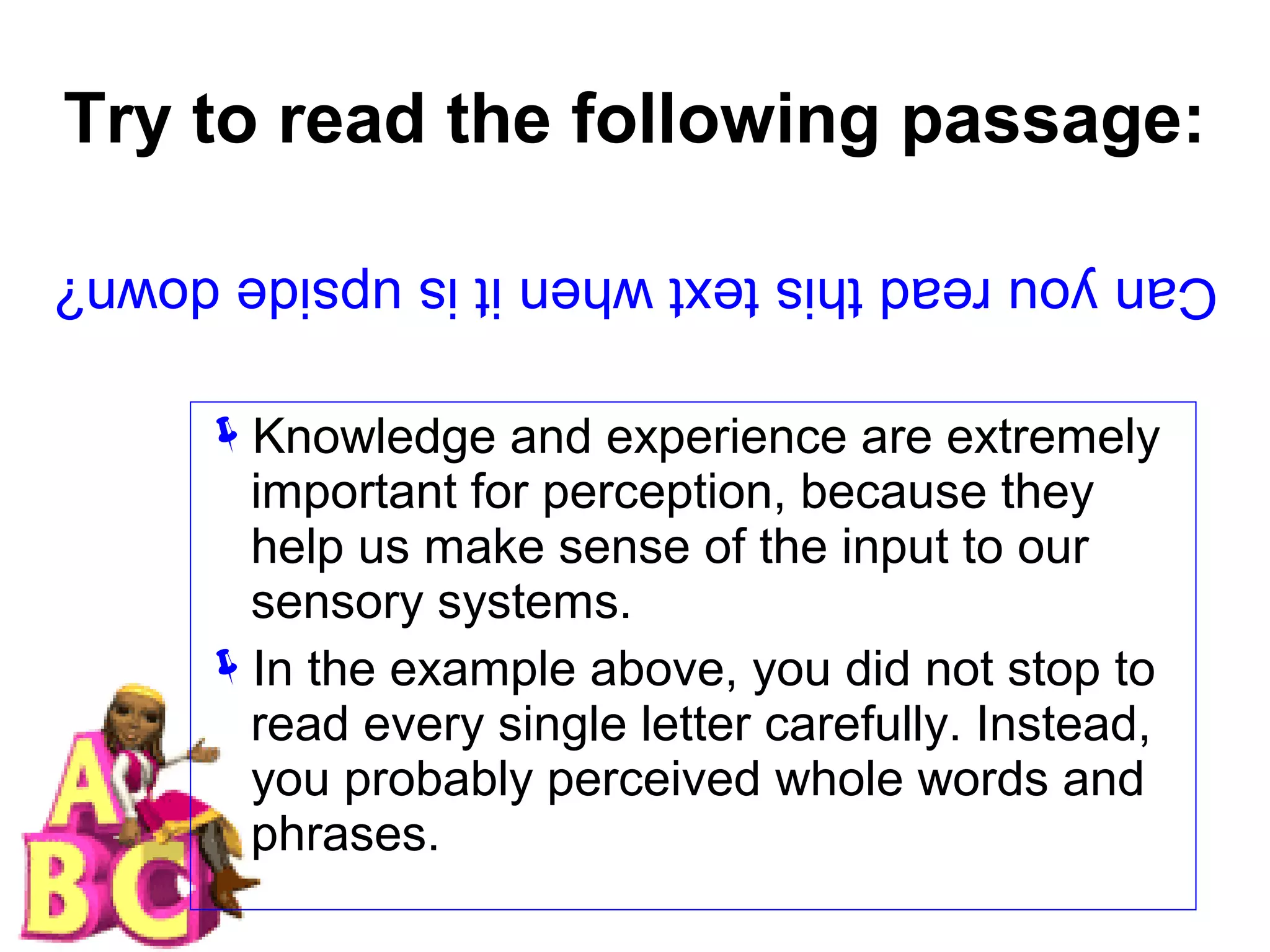 Sensation and perception | PPT
