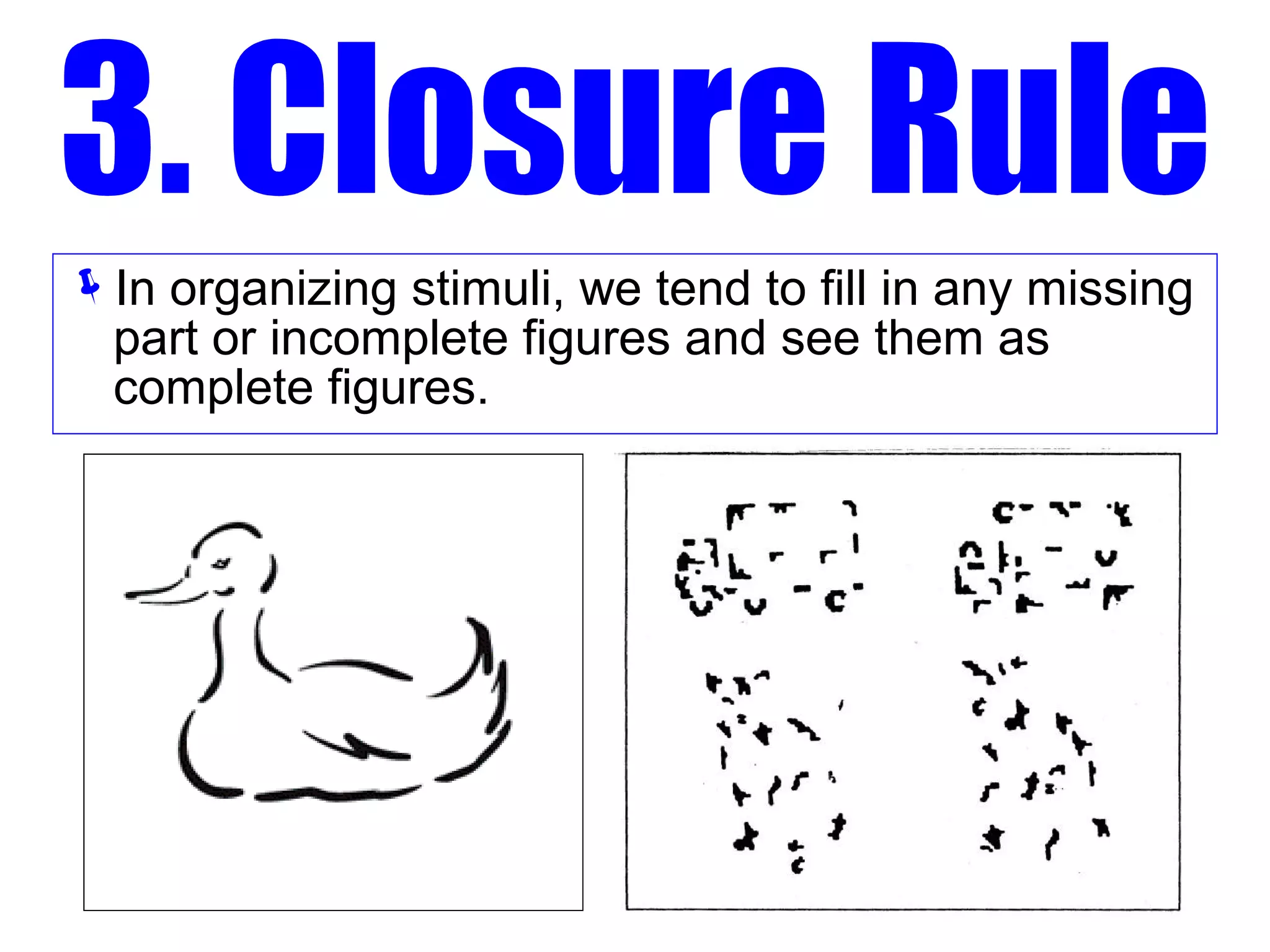 Sensation and perception | PPT