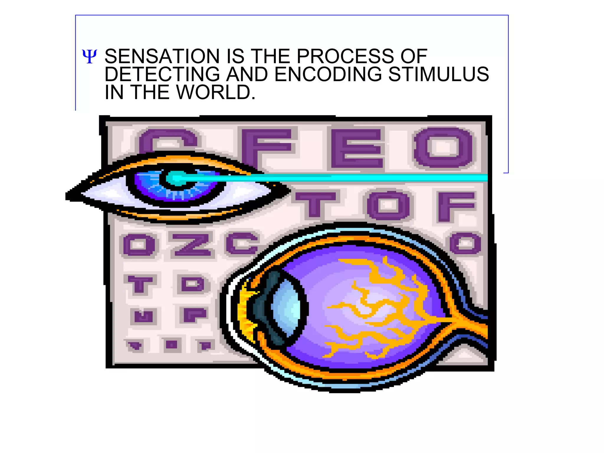 Sensation and perception | PPT