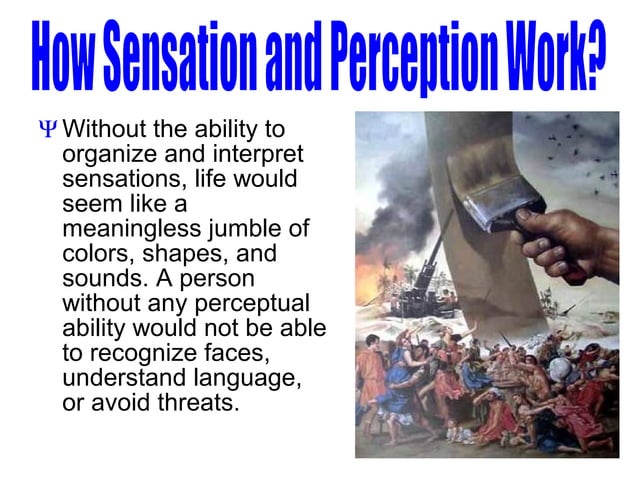 Sensation and perception | PPT | Brain and Nervous System Disorders ...