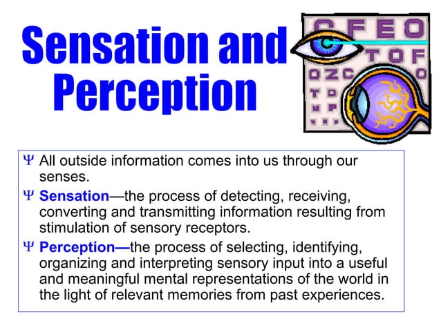Sensation and perception | PPT | Brain and Nervous System Disorders ...