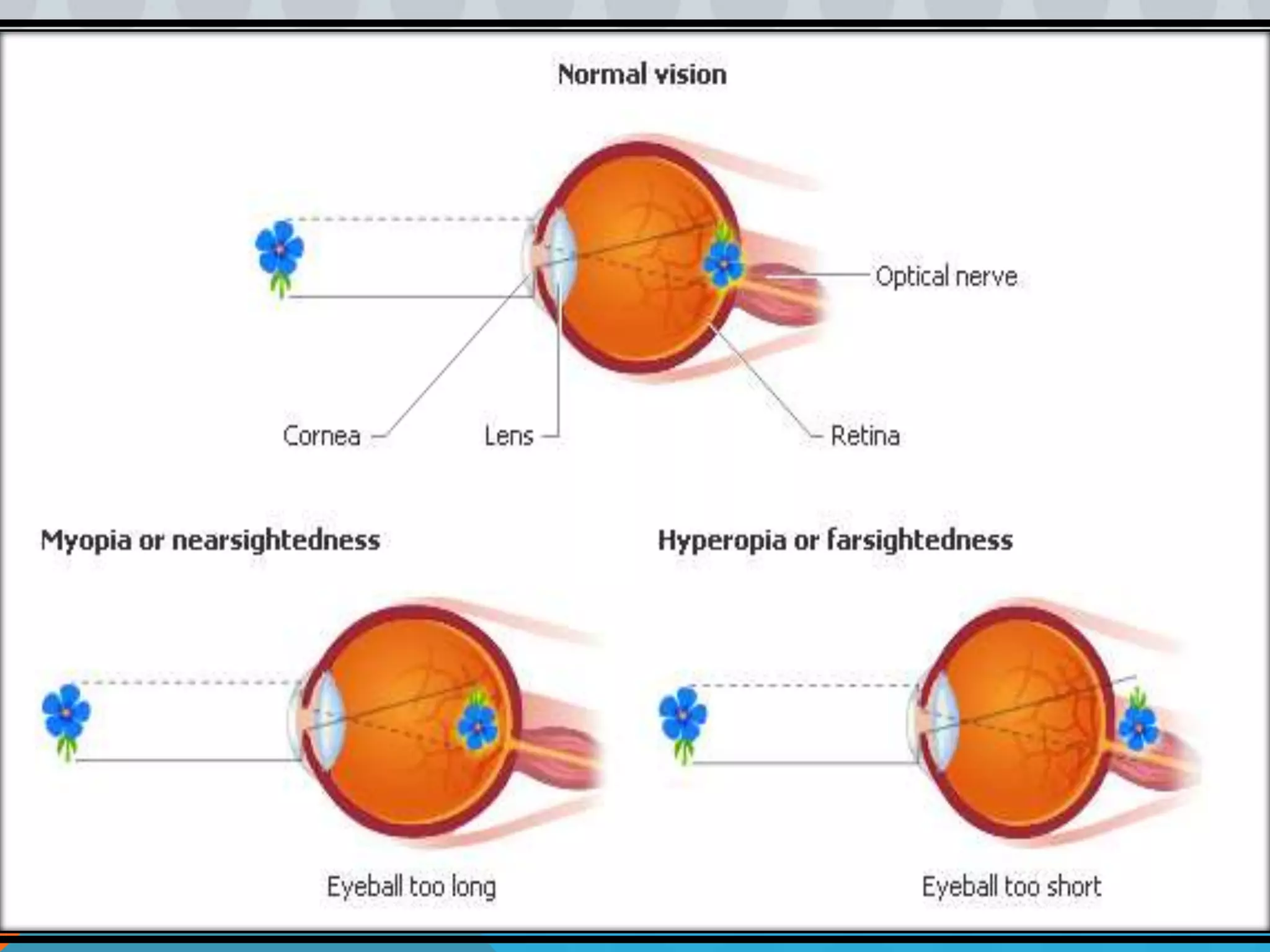 Sensation and Perception (psychology) | PPTX