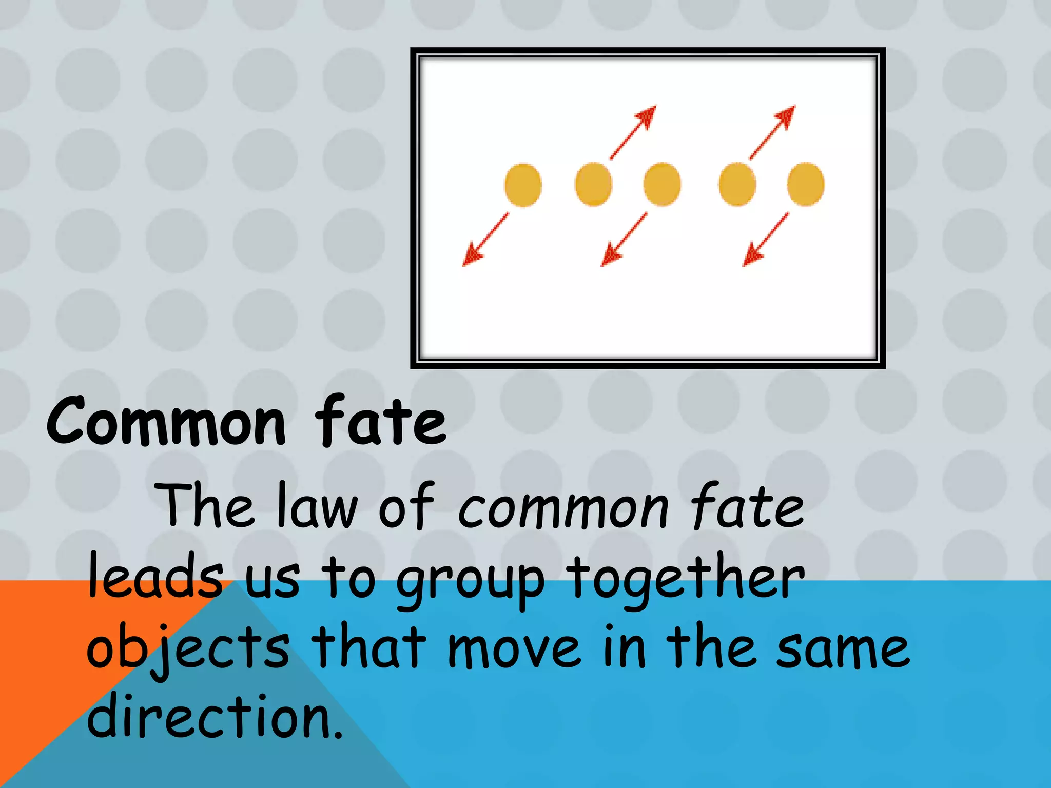 Sensation and Perception (psychology) | PPTX
