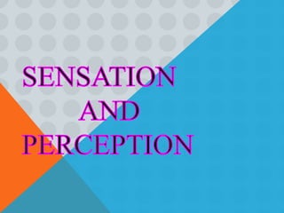 Sensation and Perception (psychology) | PPTX