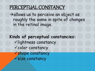 Sensation and Perception (psychology) | PPTX