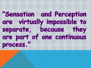 Sensation and Perception (psychology) | PPTX
