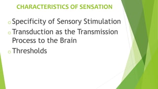 Sensation and perception | PPTX