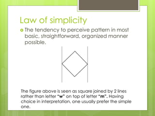 Sensation and Perception | PPTX | Physics | Science