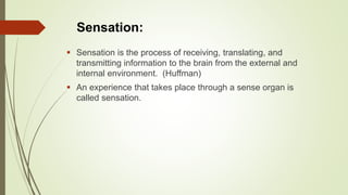 Sensation and perception | PPTX | Science