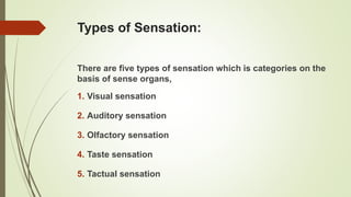 Sensation and perception | PPTX | Science
