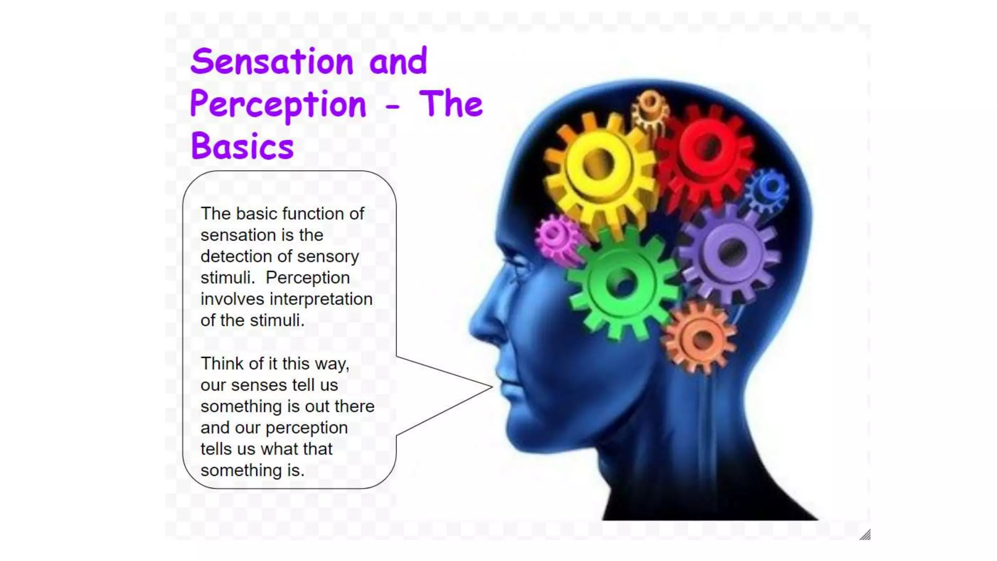 Sensation and perception | PPTX