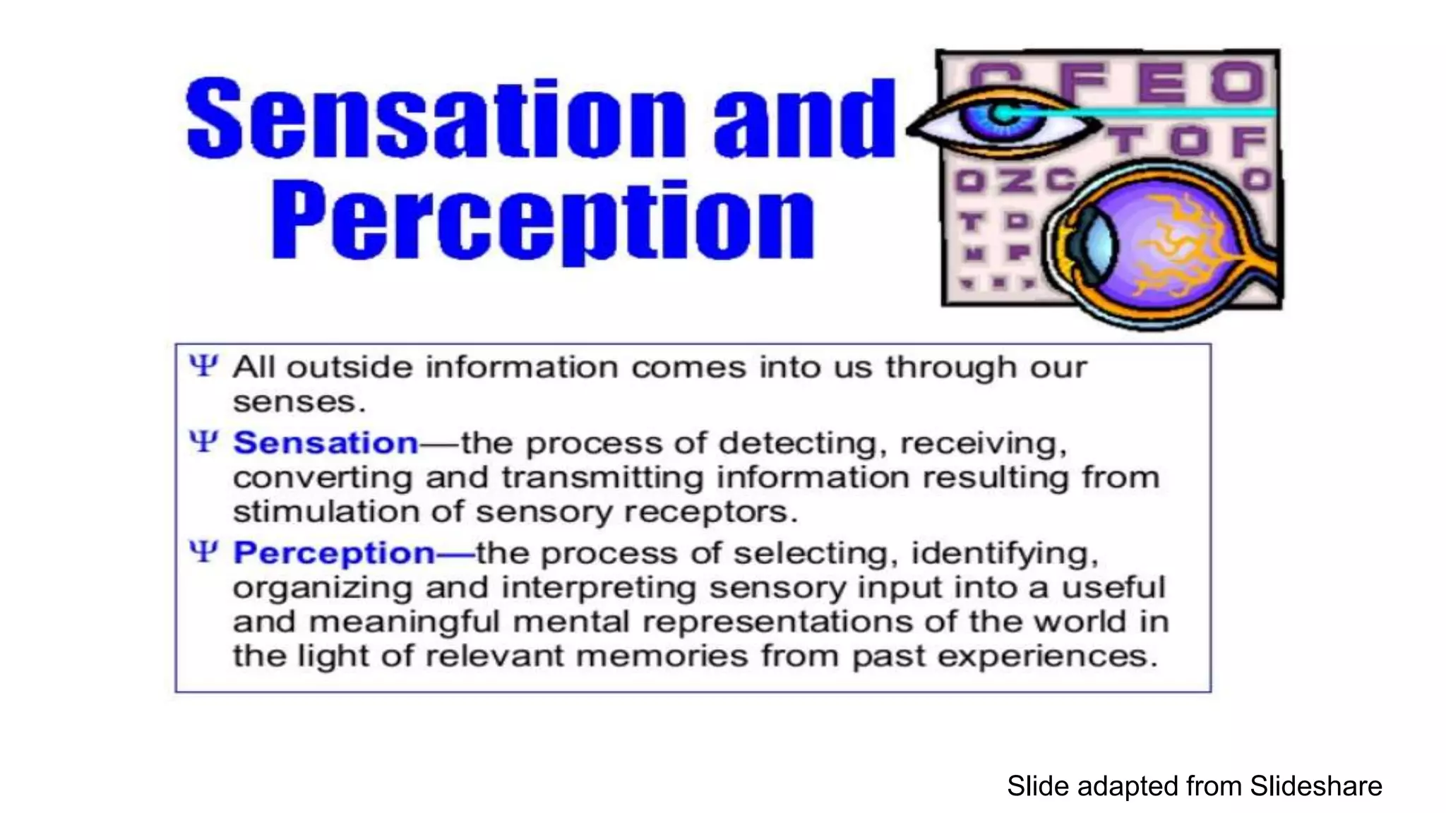 Sensation and perception | PPT