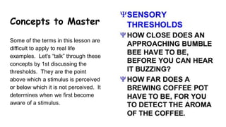 Sensation and perception | PPT