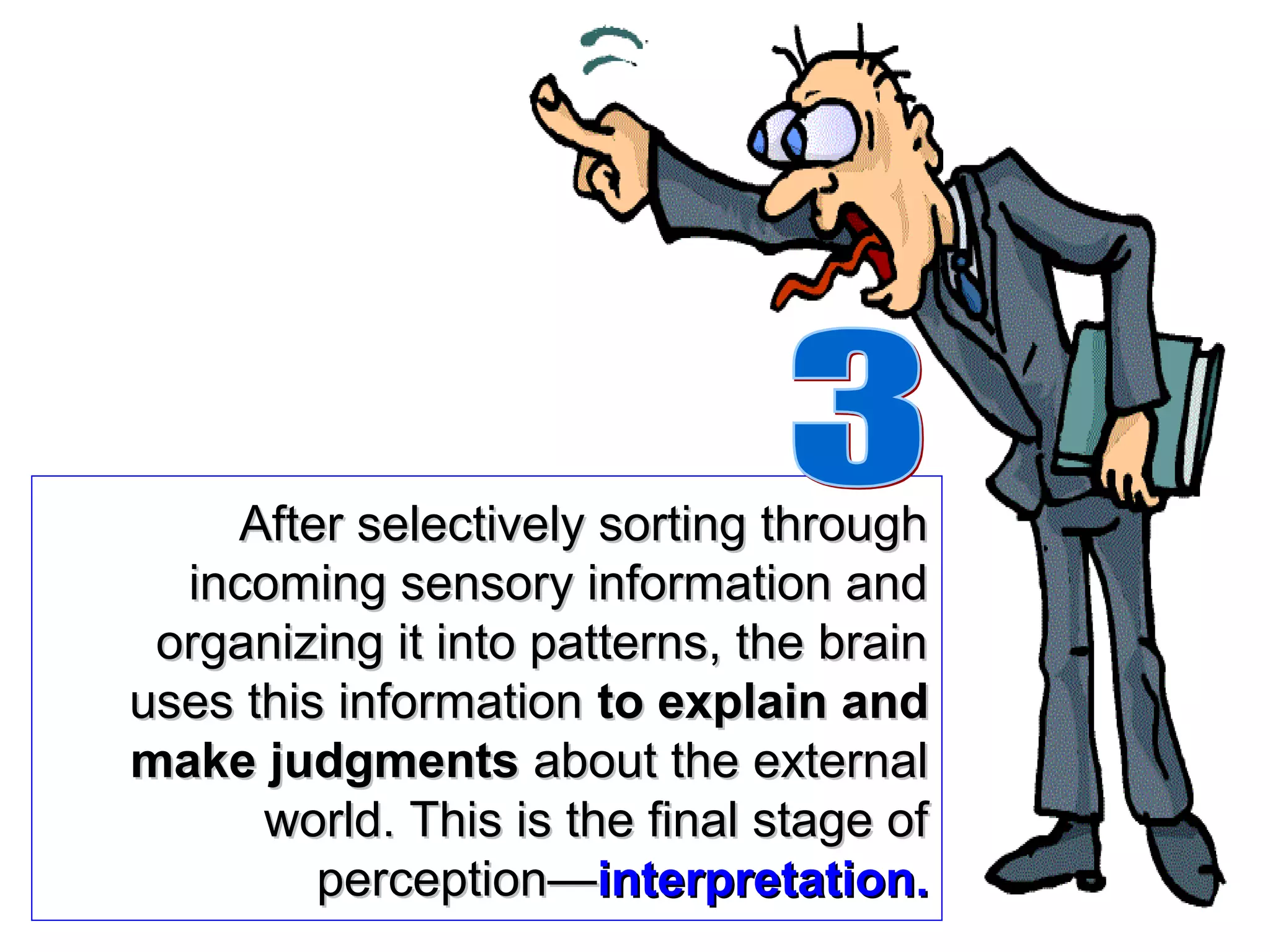sensation and perception- | PDF