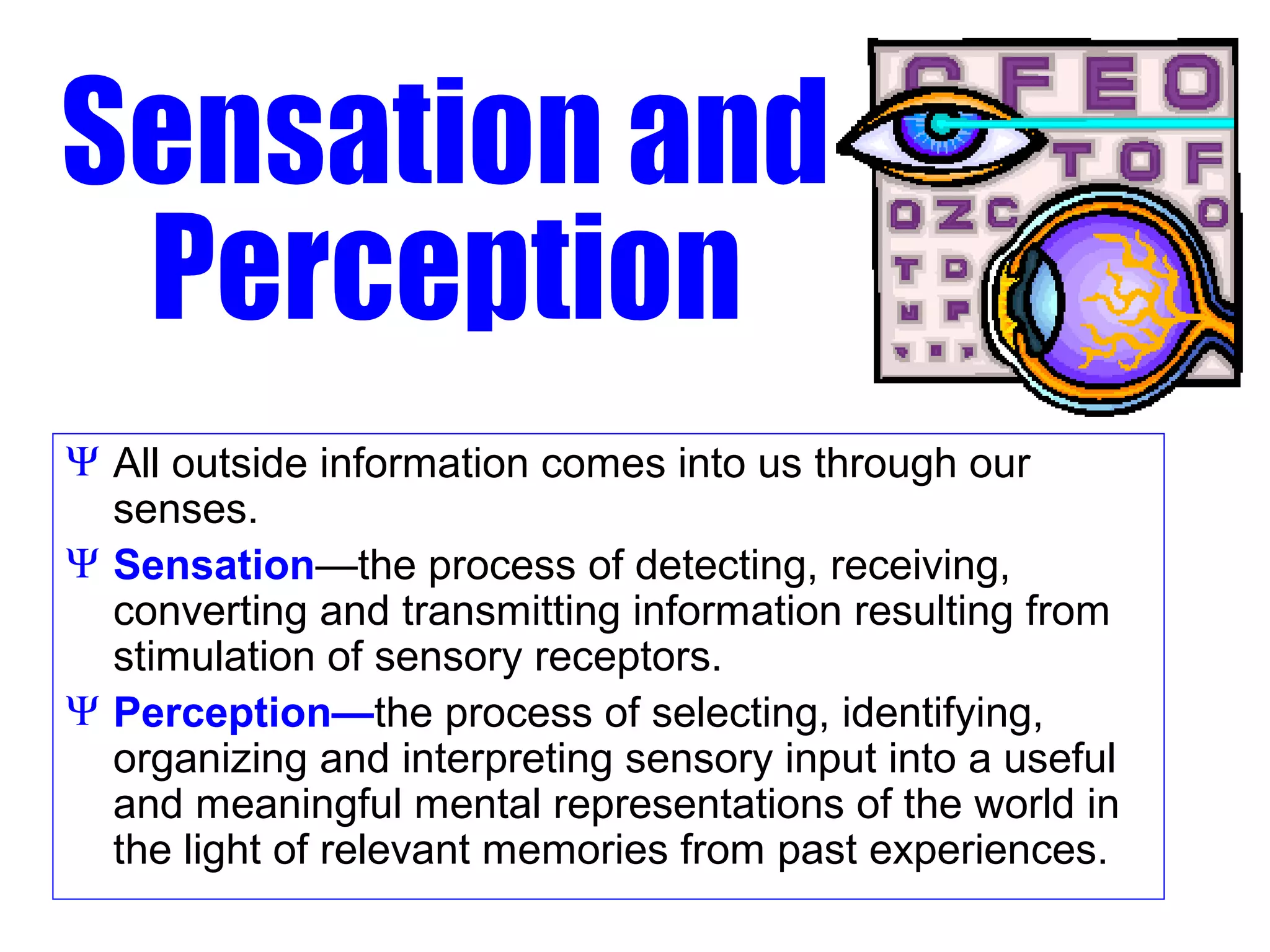 sensation and perception- | PDF