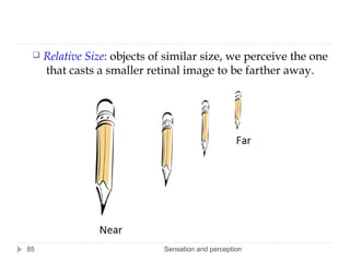 Relative Size Psychology