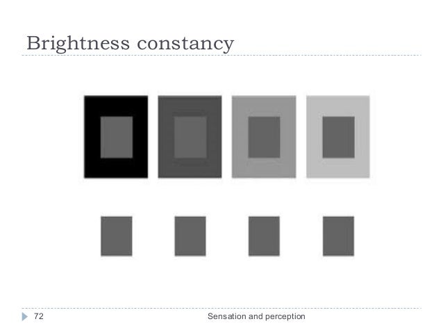 Sensation and perception