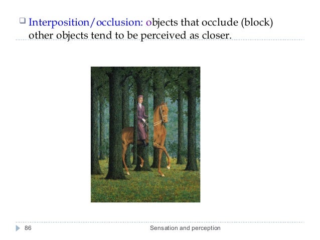 Sensation and perception