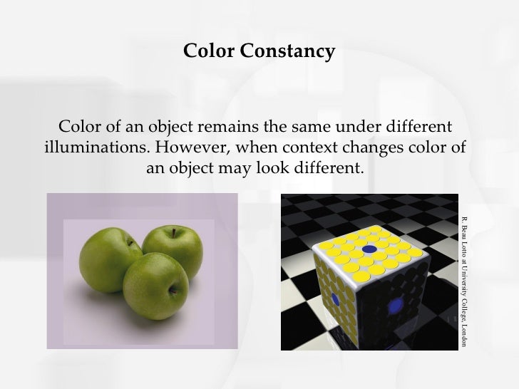 Sensation and perception_2012