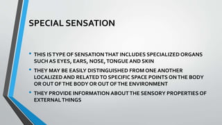 SENSATION AND PERCEPTION By group 1.pptx