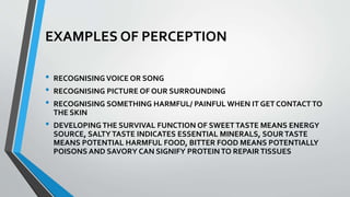 SENSATION AND PERCEPTION By group 1.pptx