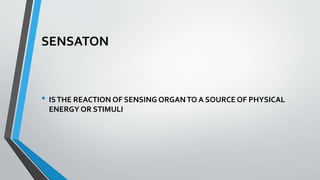 SENSATION AND PERCEPTION By group 1.pptx