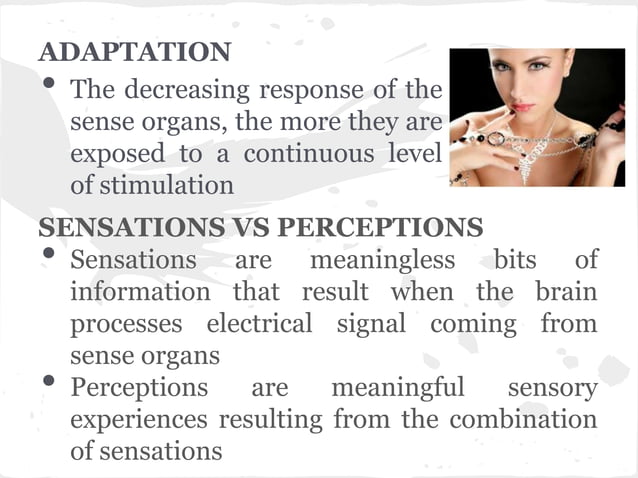Sensation and Perception | PPTX