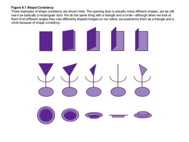 Sensation and perception lecture notes ss