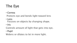 Sensation-psychology-health and medicine | PPT