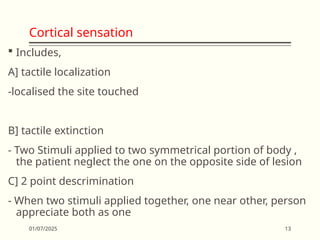 full Sensation Examination.pptx hd pages | PPT