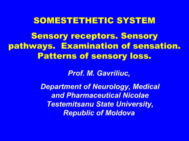 Sensation neurology | PPT