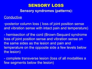 Sensation neurology | PPT