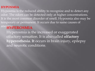 Sensation of smell converted | PPT | Free Download
